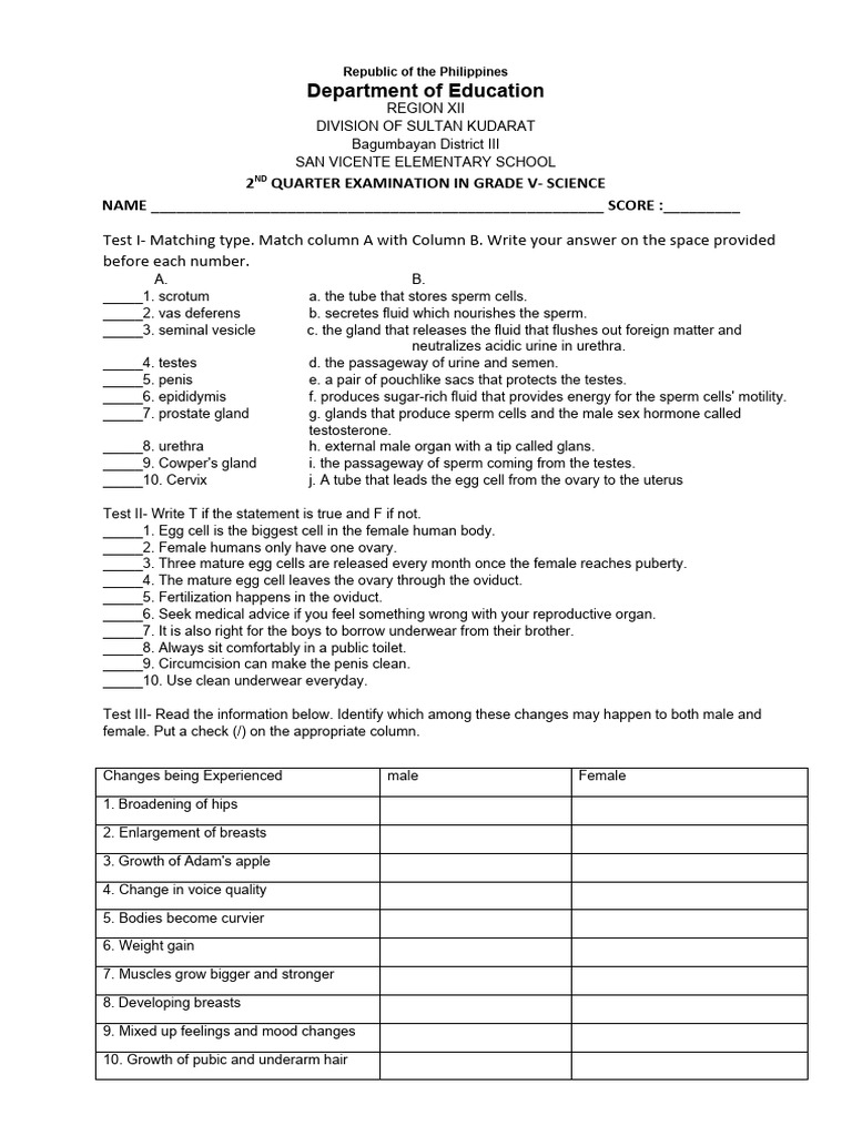 Grade V Science Exam: Reproductive System | PDF | Reproductive System ...