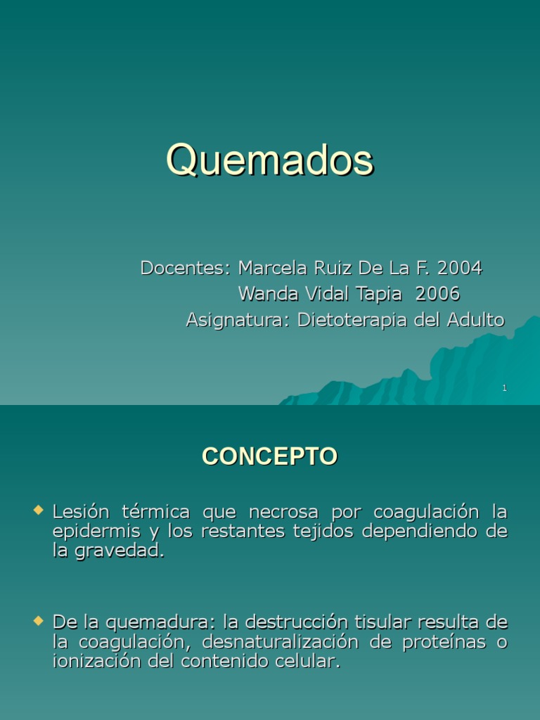Quemado | PDF | Quemar | Química