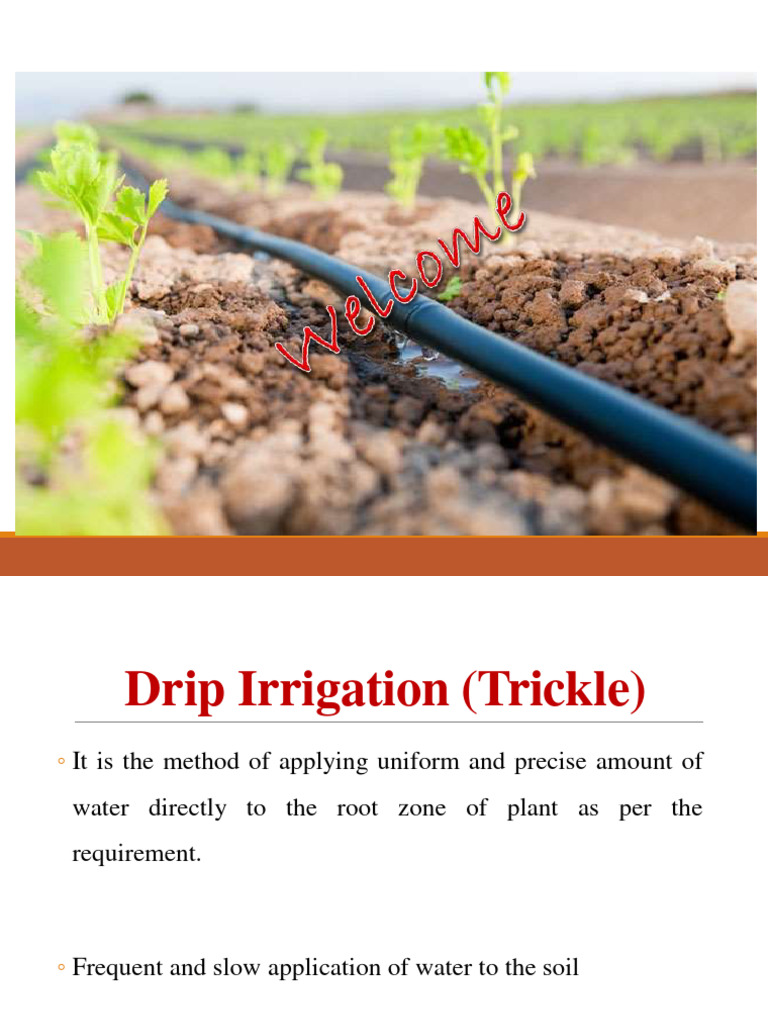 Drip Component and Drip Emitter | PDF | Filtration | Irrigation