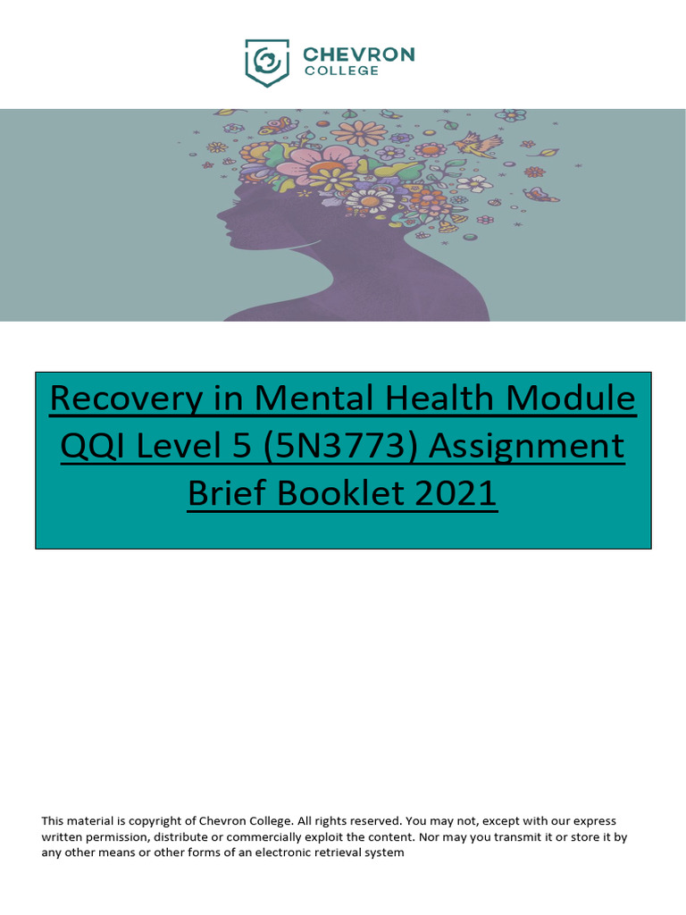Recovery in Mental Health Assignment Brief V2 | PDF | Mental Health ...