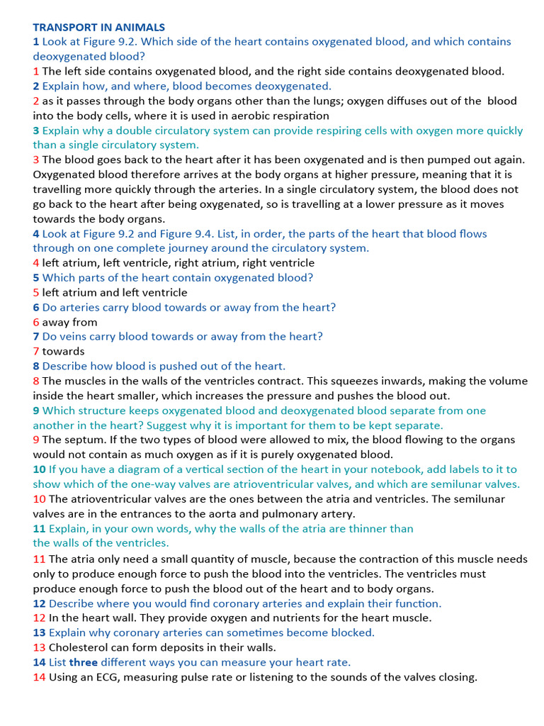 TRANSPORT_IN_ANIMALS (1) | PDF | Heart | Heart Valve