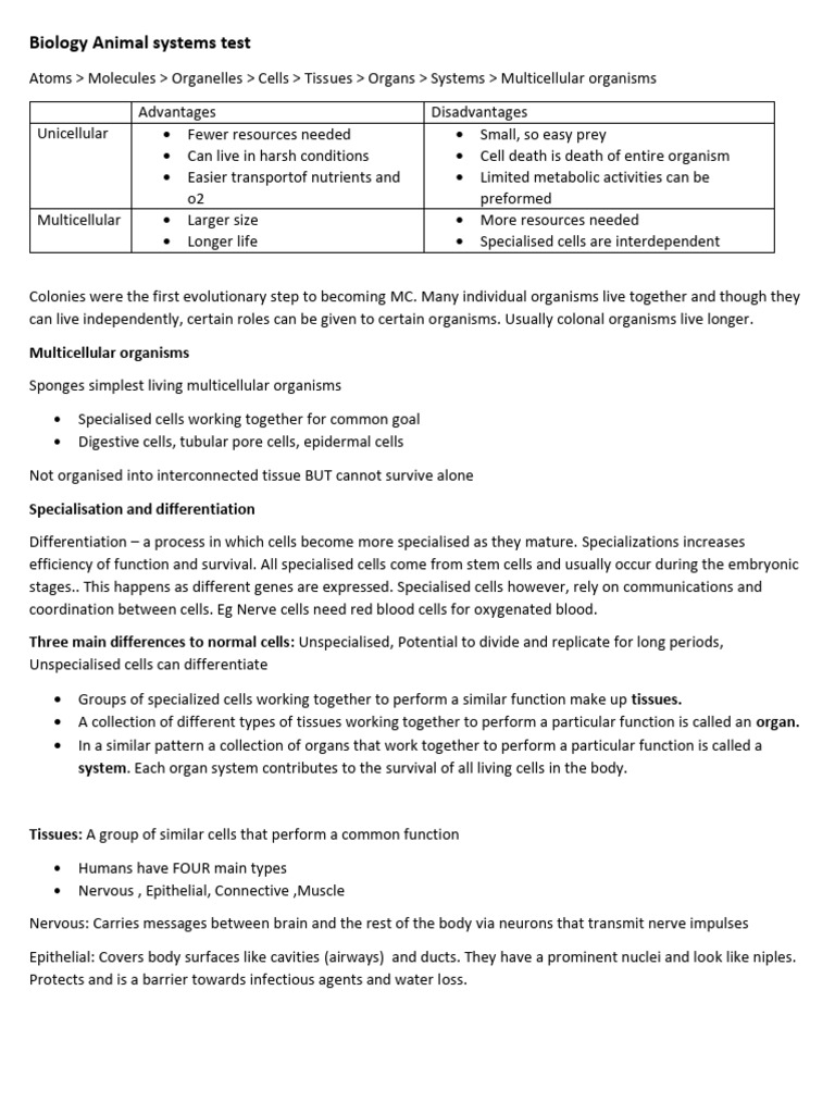 Biology Animal Systems Test | Download Free PDF | Digestion | Gill