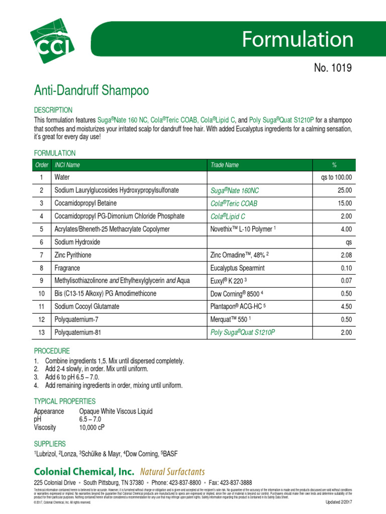 1019 Anti Dandruff Shampoo | PDF | Shampoo | Physical Sciences