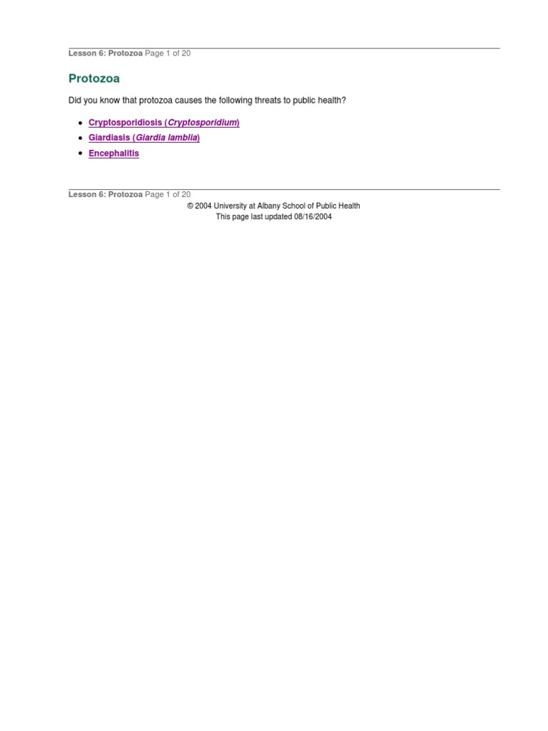 Lesson 6 | PDF