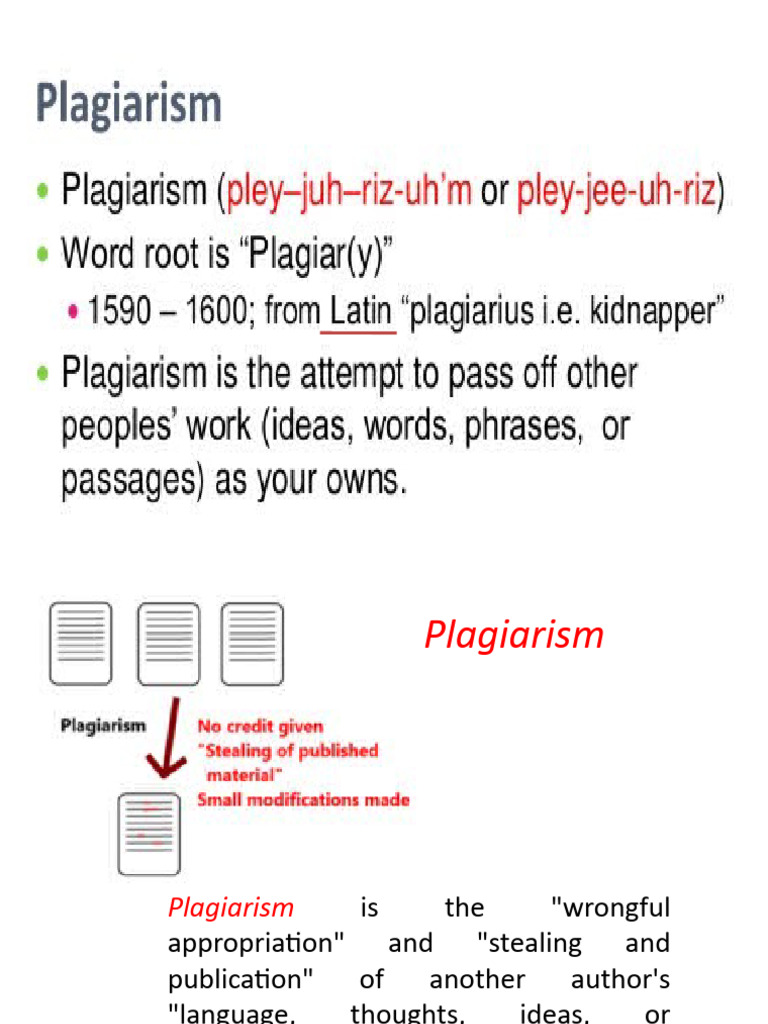 Plagerism 24.07.2023 | PDF | Plagiarism | Justice