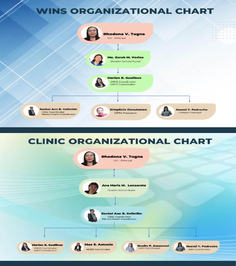 Org Chart Clinic & Wins | PDF