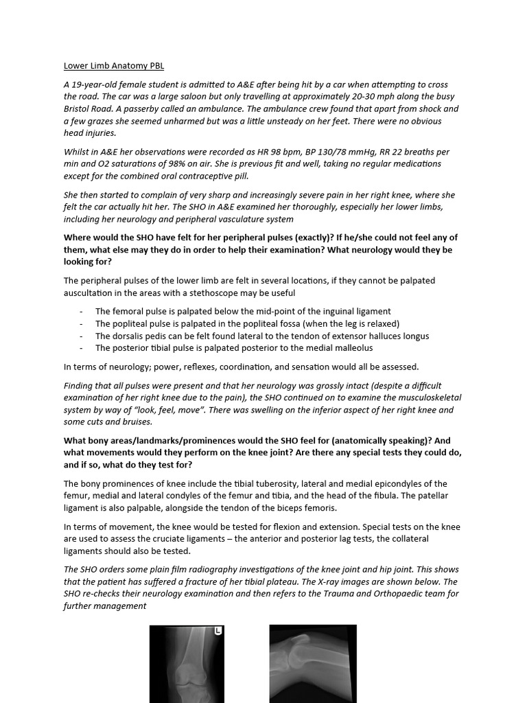 Lower Limb Anatomy PBL | PDF | Knee | Human Leg