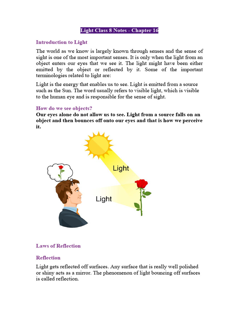 Light Class 8 Notes | PDF | Reflection (Physics) | Eye