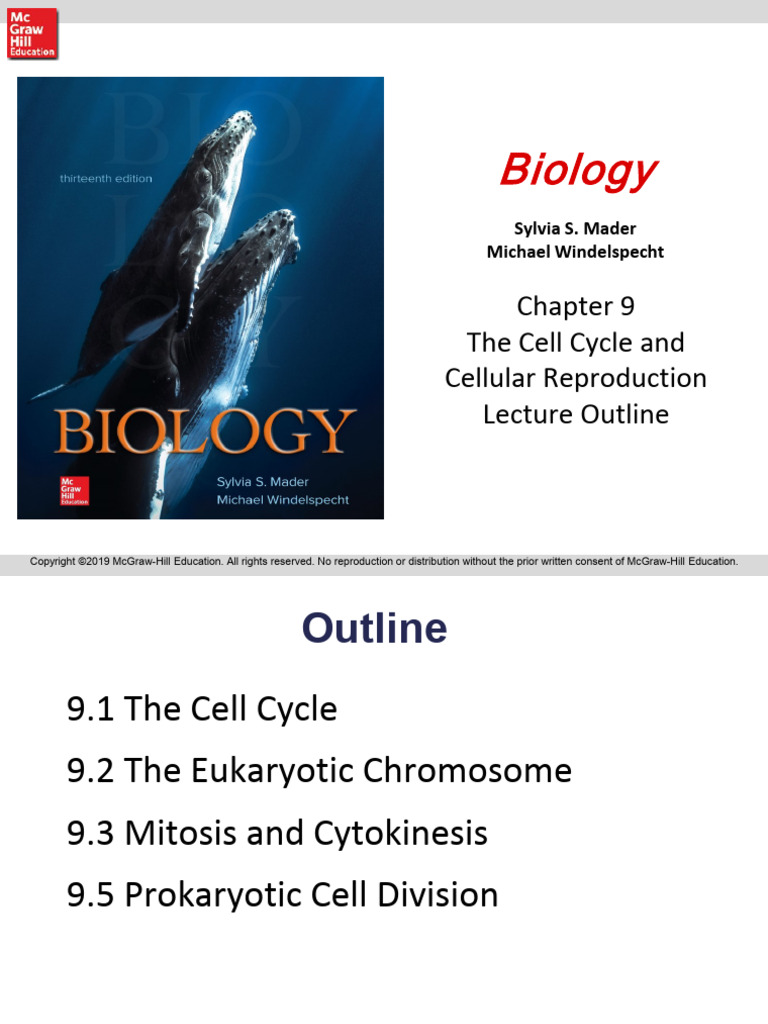 Chapter09 Lecture Ppt-Mader13-Modified | PDF | Mitosis | Chromosome Chapter09 Lecture Ppt-Mader13-Modified | PDF | Mitosis | Chromosome