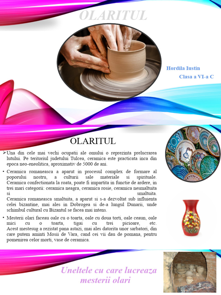 Proiect Sociala OLARIT Final | PDF