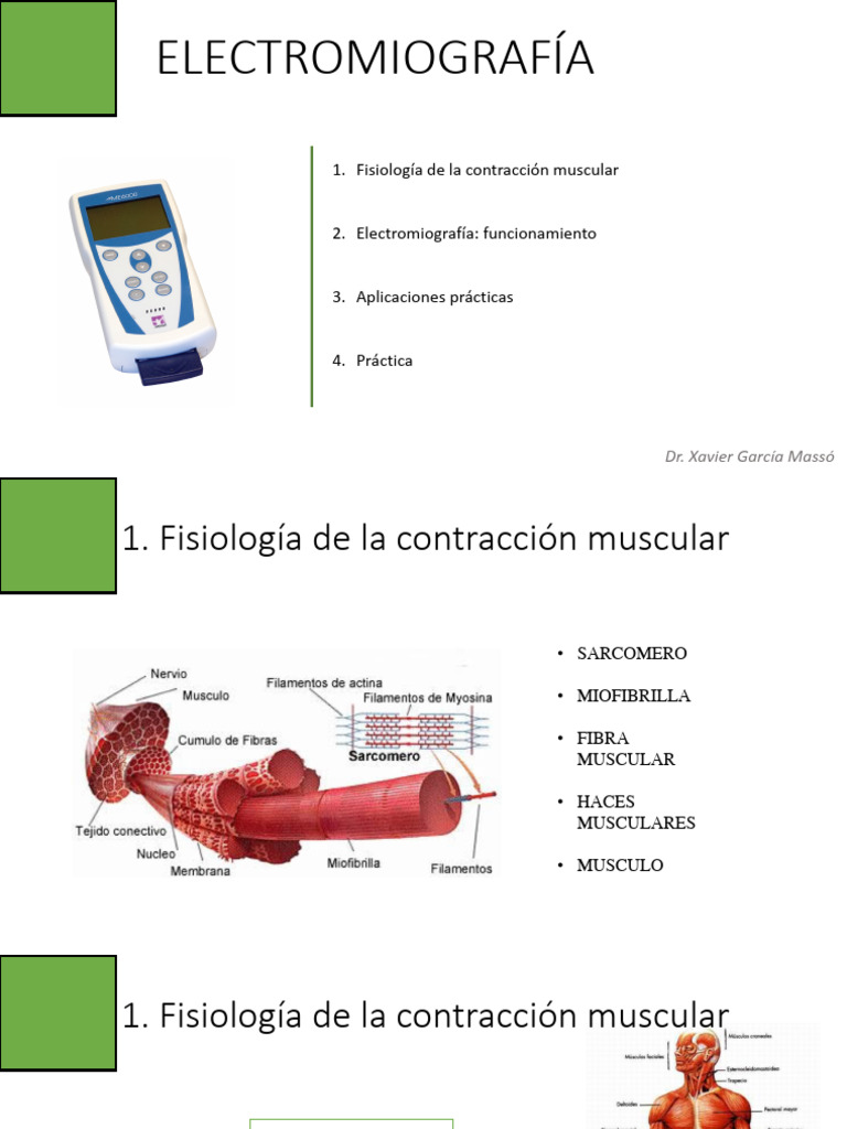 Emg | PDF | Músculo esquelético | Electromiografia