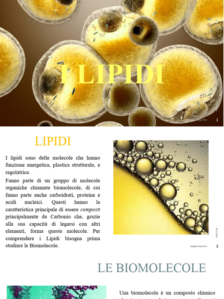 LIPIDI | PDF