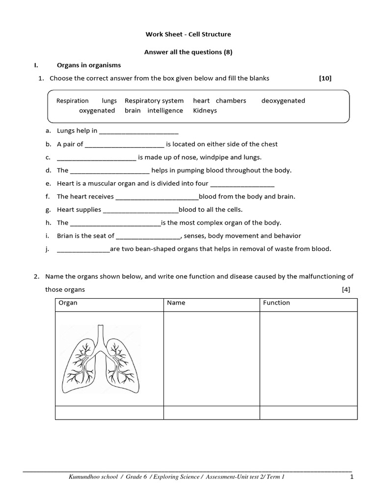 Cell Structure | PDF | Heart | Lung