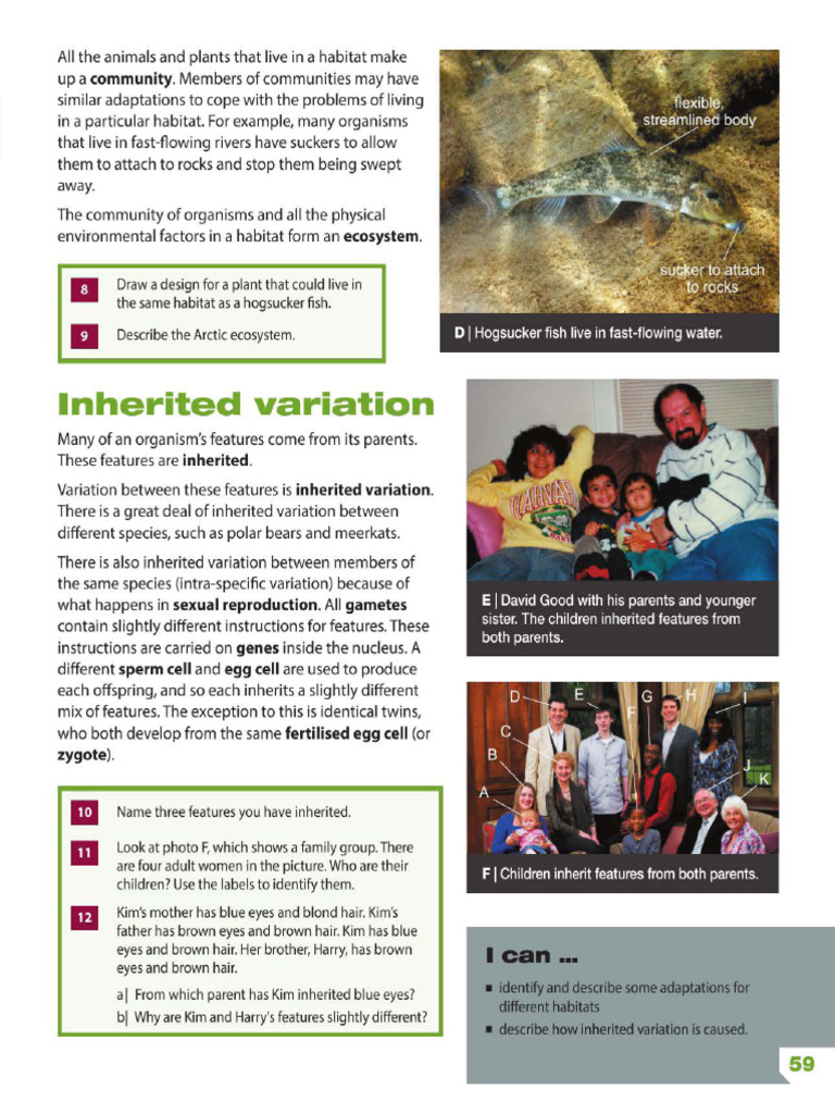 Exploring Science International 11-14 Y7 - Compressed (9) 2 | PDF
