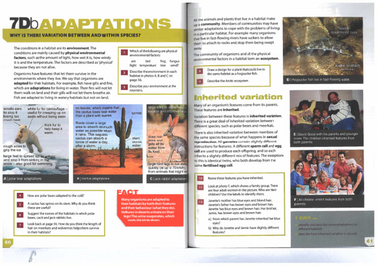 Exploring Science Year 7 | PDF