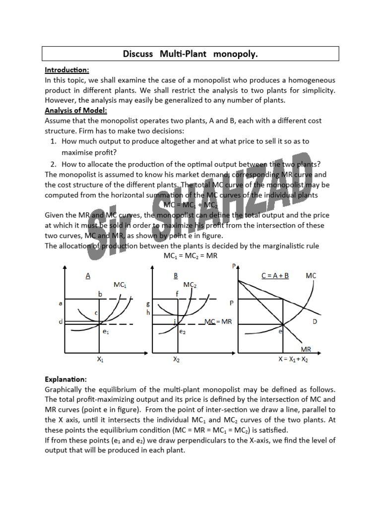 Bilateral & Multiplant Monopoly | PDF | Monopoly | Economic Equilibrium