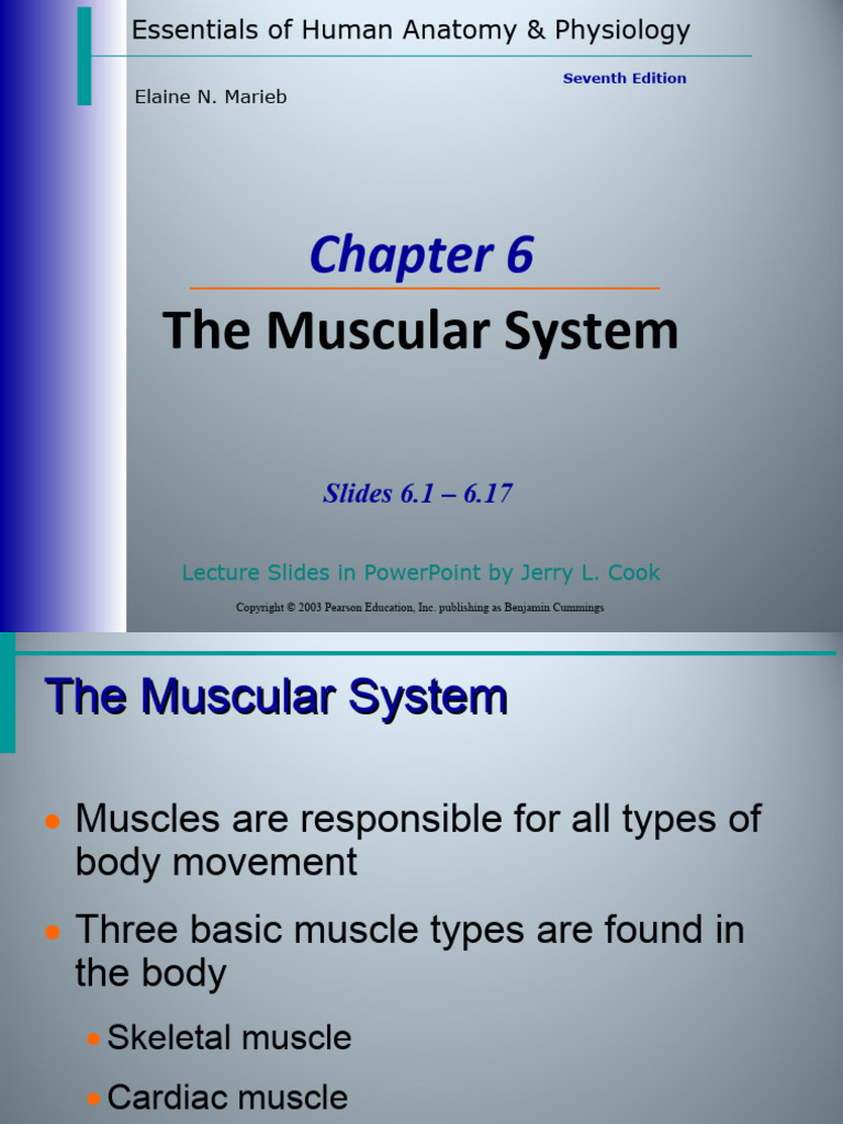 Week 6 Muscular System | PDF | Anatomical Terms Of Motion | Muscle ...