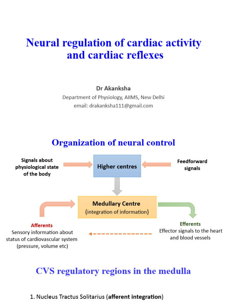 Lecture 8_Neural regulation of cardiac activity and cardiac reflexes ...