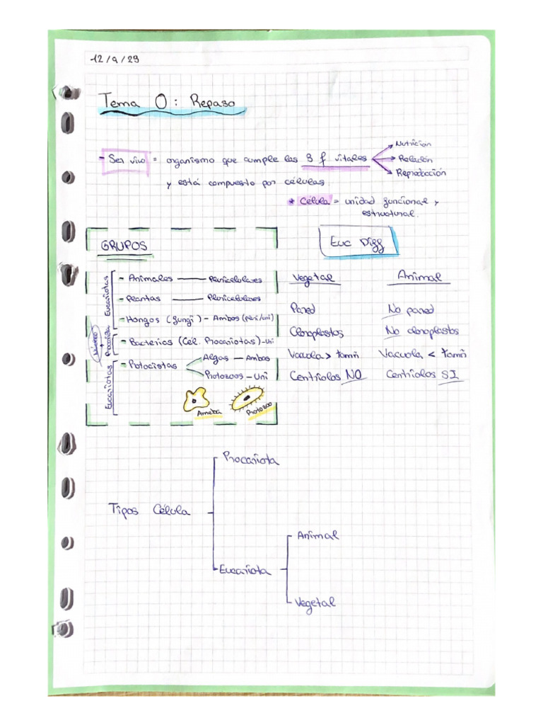 Documentos Escaneados | PDF