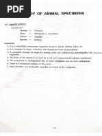 Labeled Female Squid Dissection Guide | PDF | Mollusca | Anatomical ...