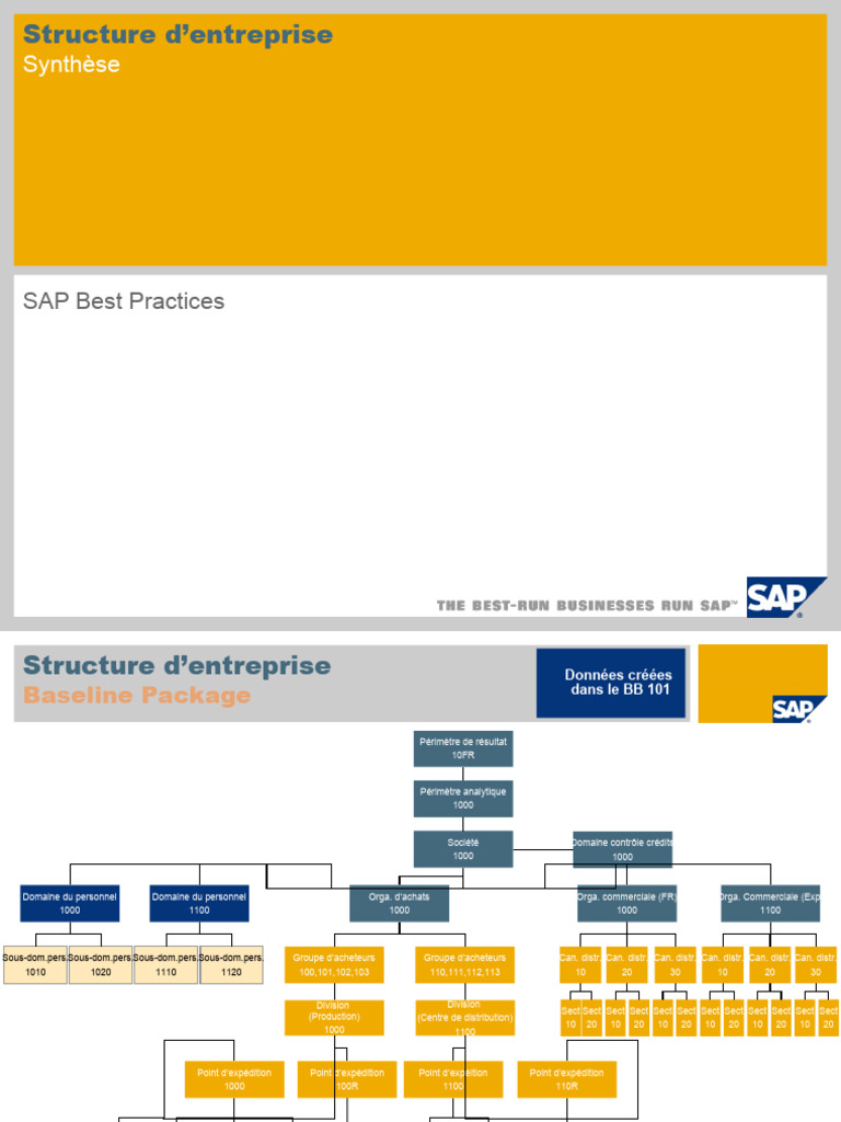 Structure d'entreprise SAP | PDF