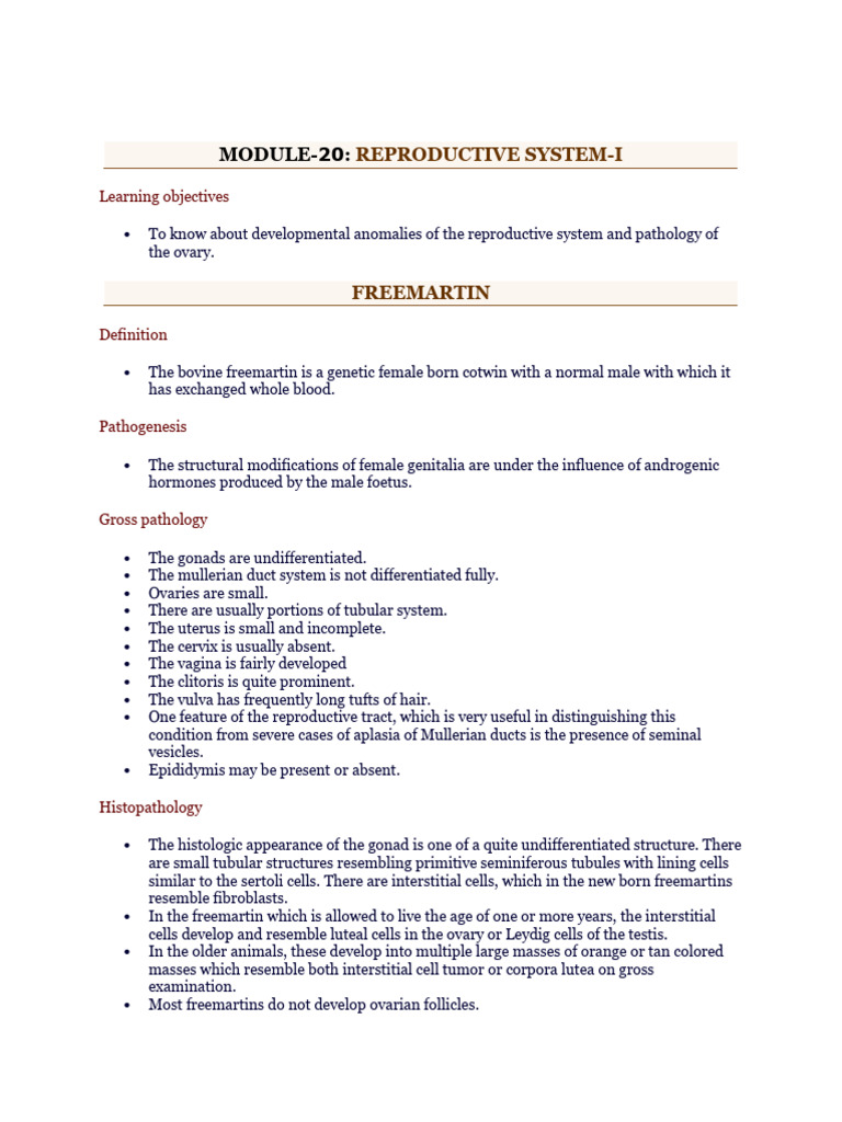 Pathology of Reproductive System | PDF | Ovary | Uterus