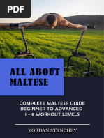 Full Planche V2 Valentin OTZ | PDF | Arm | Strength Training