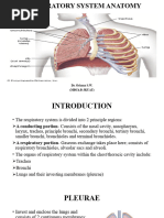 The Radiology Assistant - Lung Segments and Bronchi | PDF | Lung ...