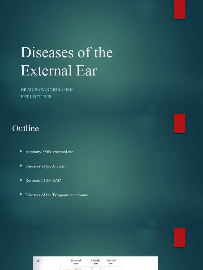 External Ear Disorders Guide | PDF | Ear | Human Anatomy