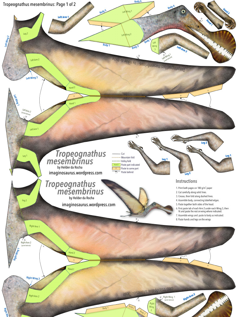 Tropeognathus | PDF