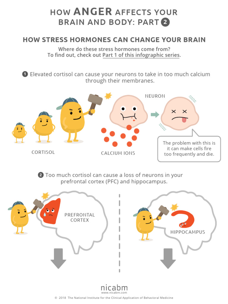 Anger Part 2 | PDF | Stress (Biology) | Cortisol