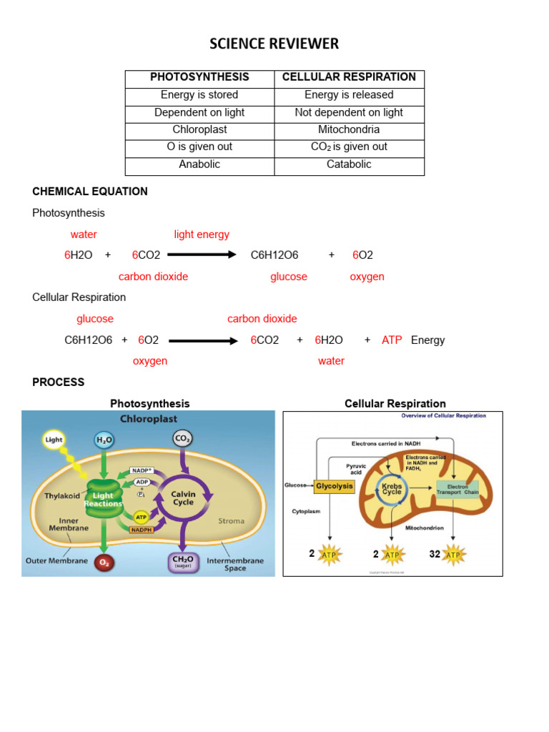 SCIENCE 9 (2nd PT) Reviewer | PDF