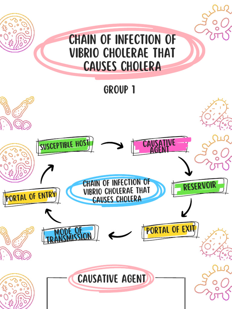 Vibrio Cholerae That Causes Cholera | PDF | Cholera | Infection