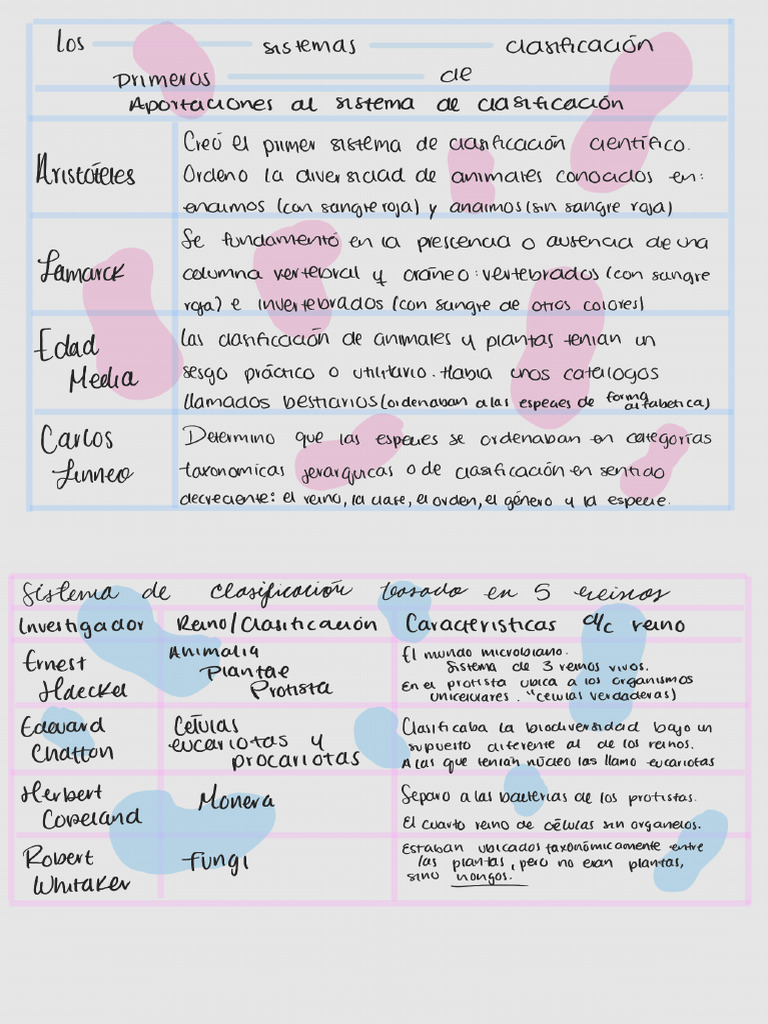 Cuadros Comparativos | PDF