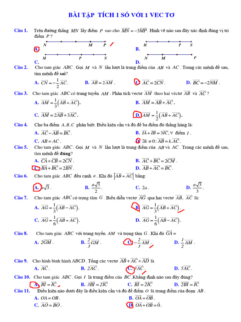 Bài Tập Tích 1 Số Với 1 Vecto | PDF