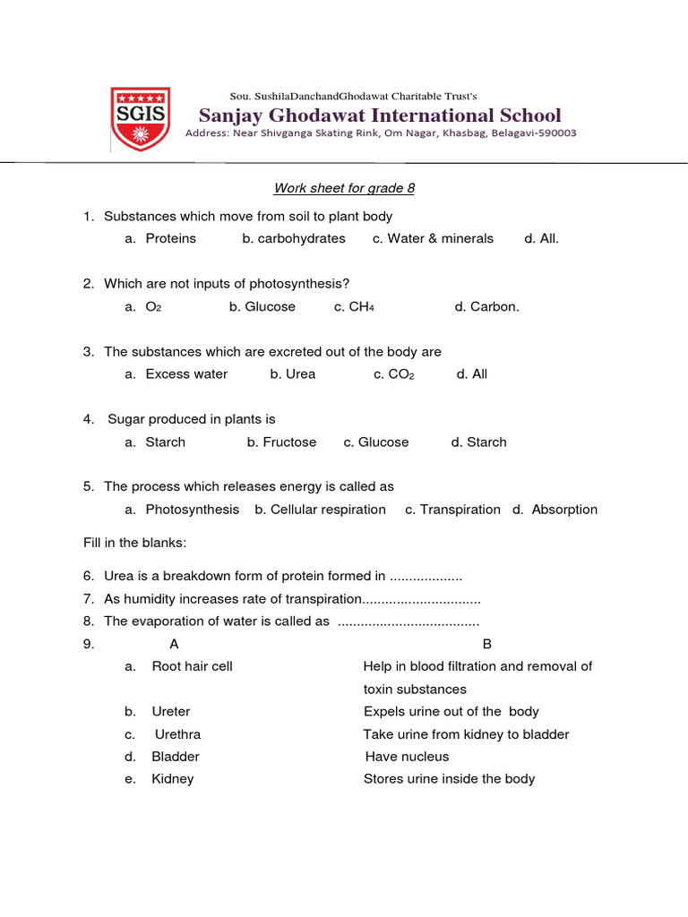 Work Sheet For Grade 8 BIOLOGY | Download Free PDF | Photosynthesis | Urine
