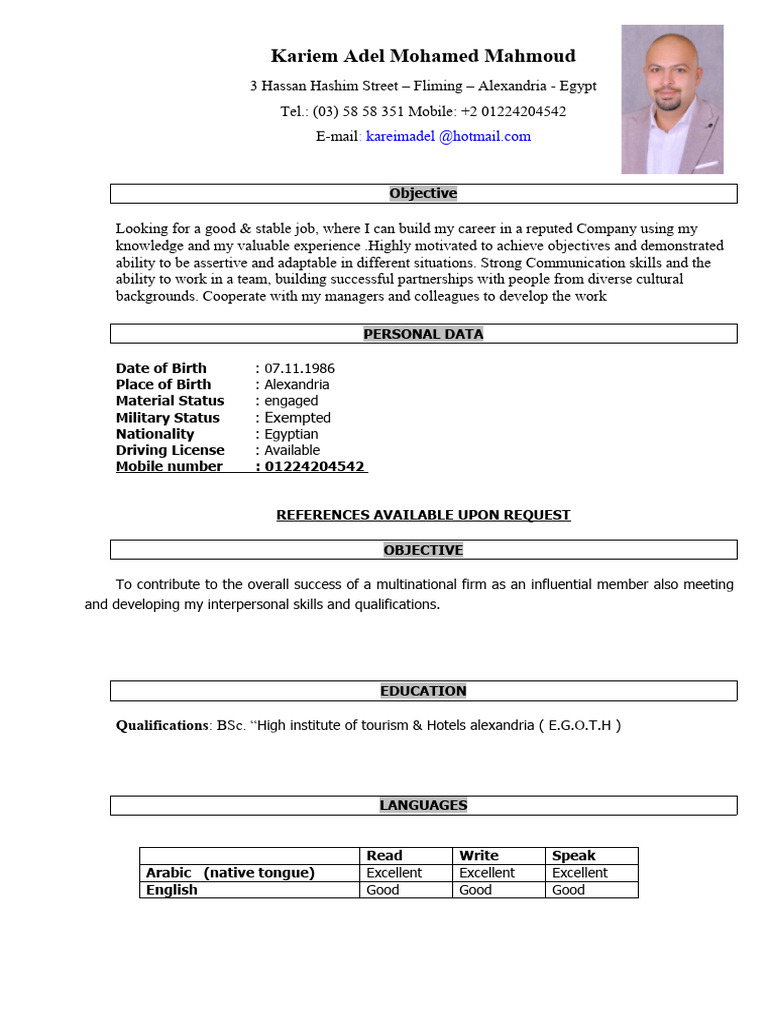 Kareim Adel CV 20203030-1 | PDF