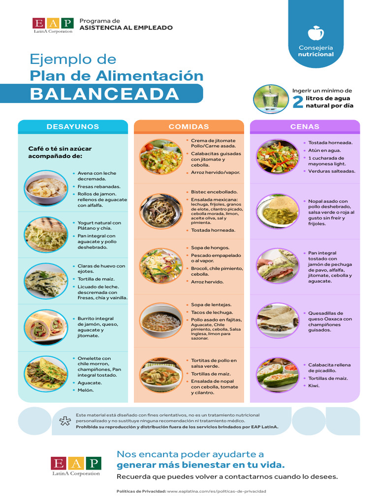 Plan de Alimentación para Alimentación Balanceada | PDF | Cilantro | Maíz