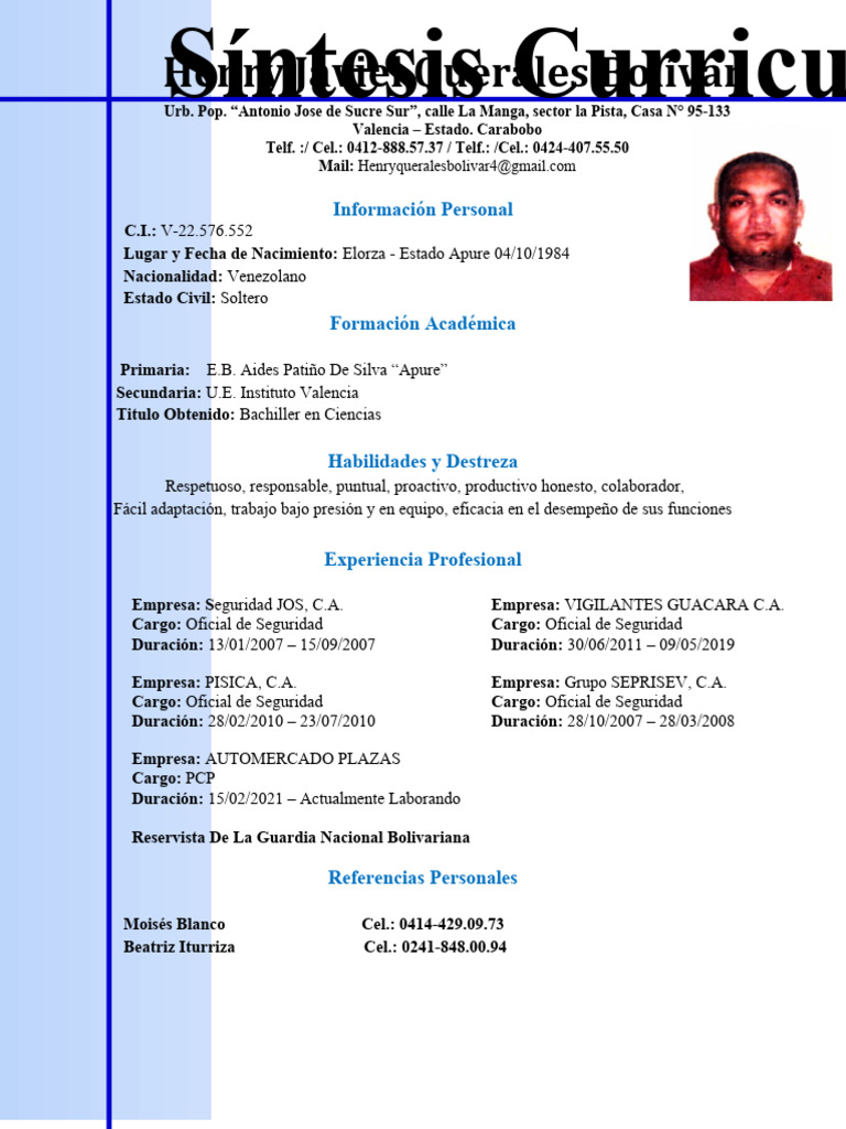 Curriculum Henry Querales | PDF