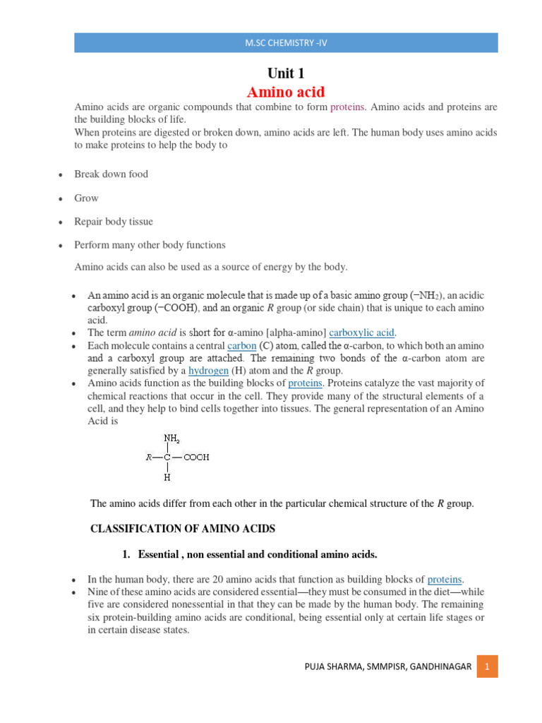 Understanding Amino Acids and Proteins | PDF | Protein Structure | Amino Acid