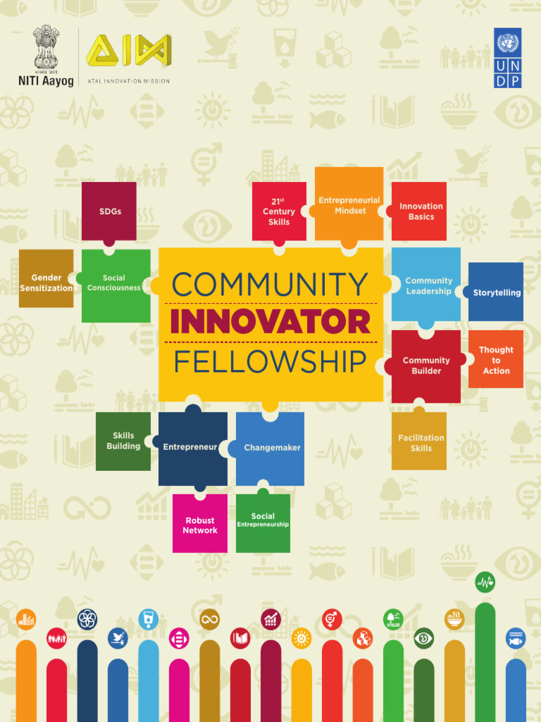 Fellowship Brochure 110122 | PDF | Entrepreneurship | United Nations ...