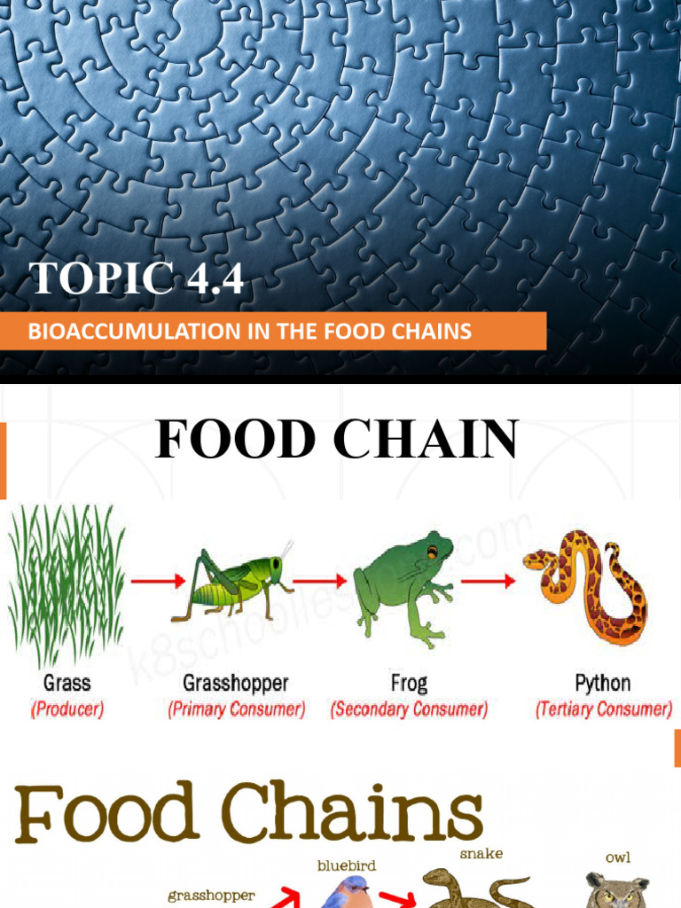 4.4 Bioaccumulation in The Food Chain | PDF