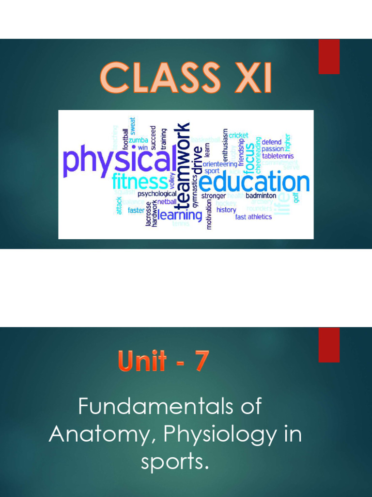 Chapter 7 Anatomy and Physiology | Download Free PDF | Artery | Heart