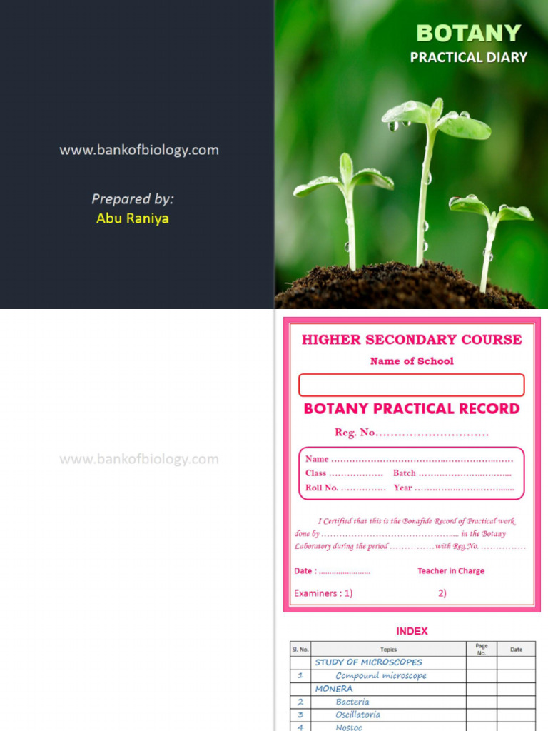 Class 11 Botany Practical | PDF