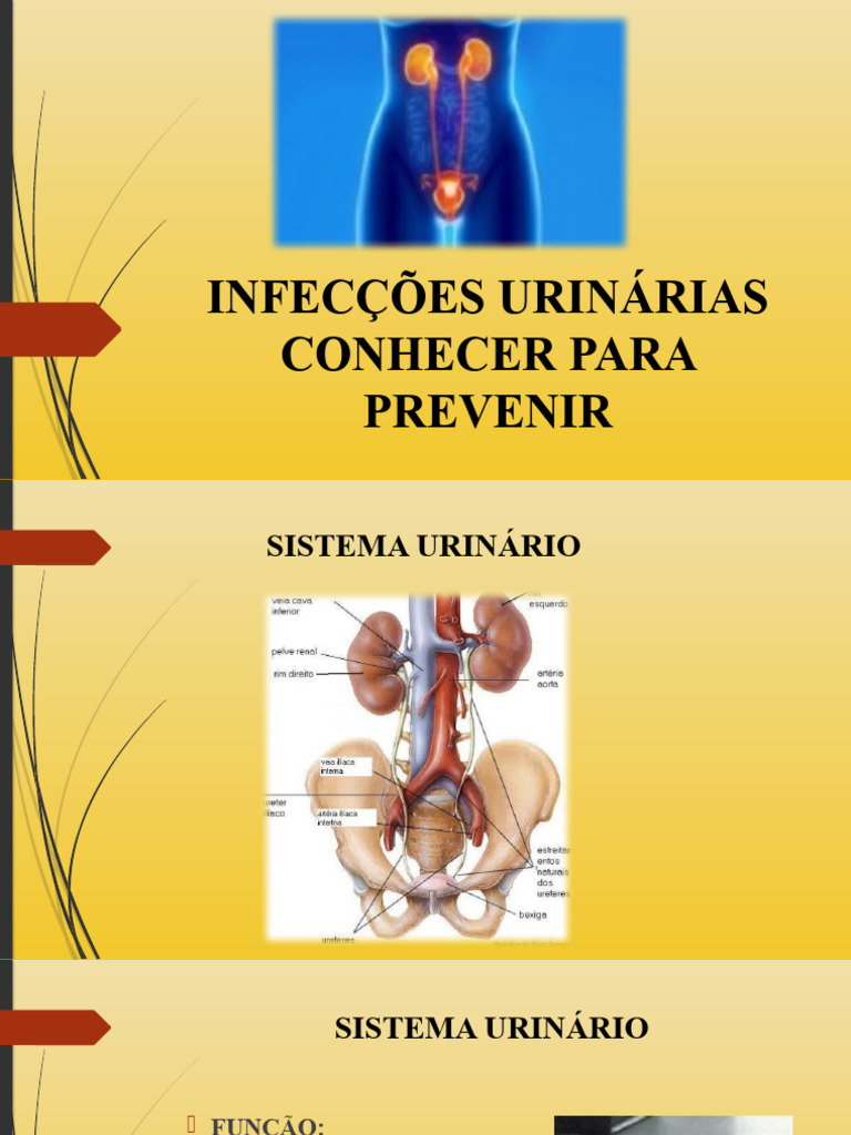 Infecções Urinárias: Causas e Prevenção | PDF | Rim | Sistema urinário