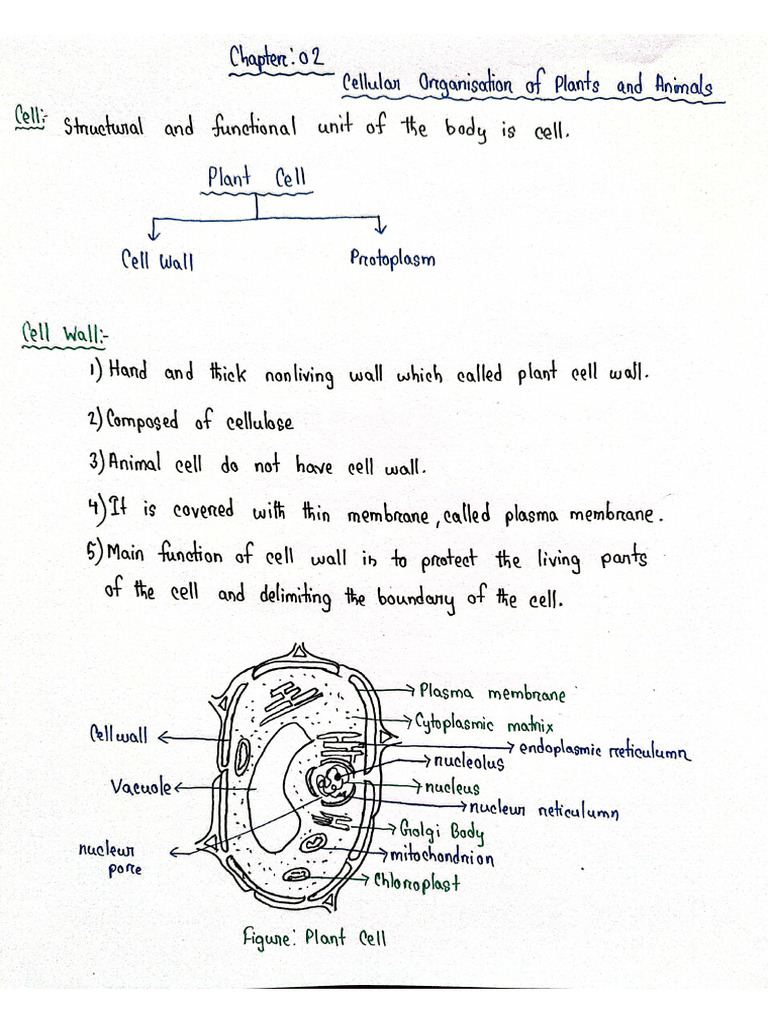 Chapter 2 Science | PDF