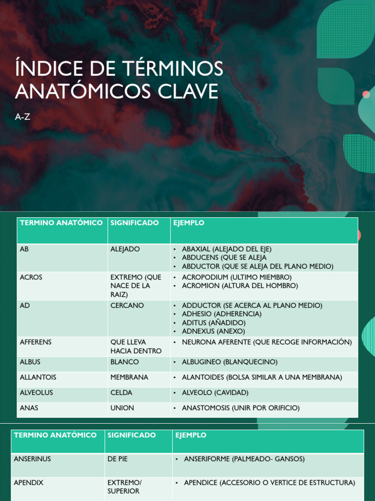 Terminos Anatomicos Clave | PDF | Anatomía | Morfología (biología)