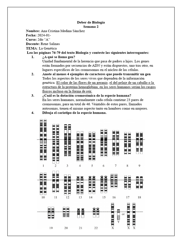 Deber de Semana 2 Biologia | PDF | Gene | Cromosoma