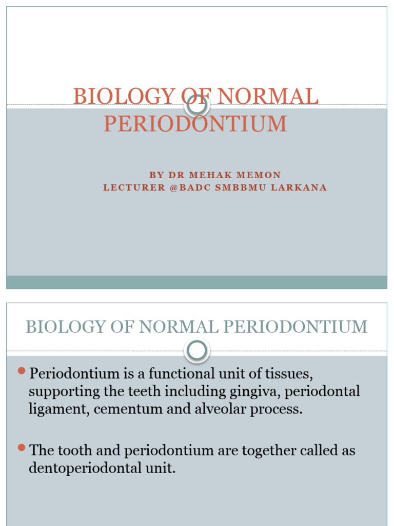 Biology of Normal Periodontium Overview | PDF | Epithelium | Histology