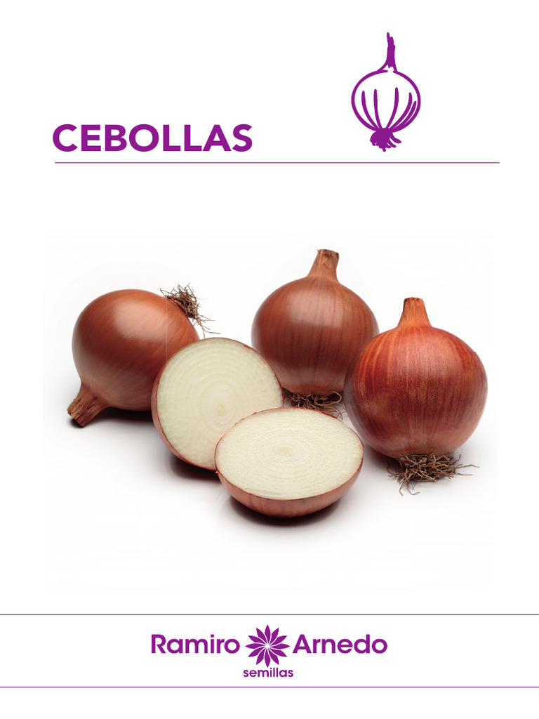 CEBOLLA Figueras | PDF | Cebolla | Plantas